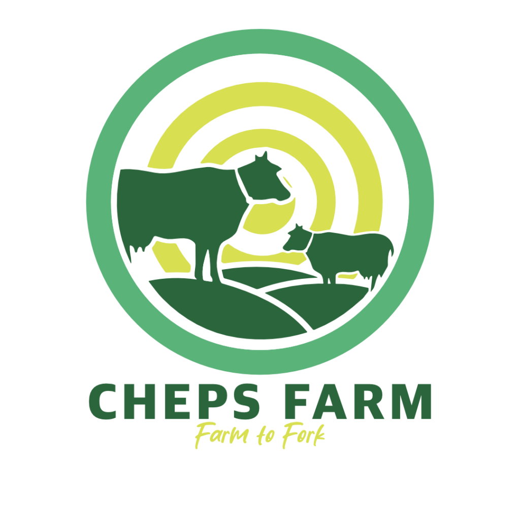 Our farm - Happy Butchery